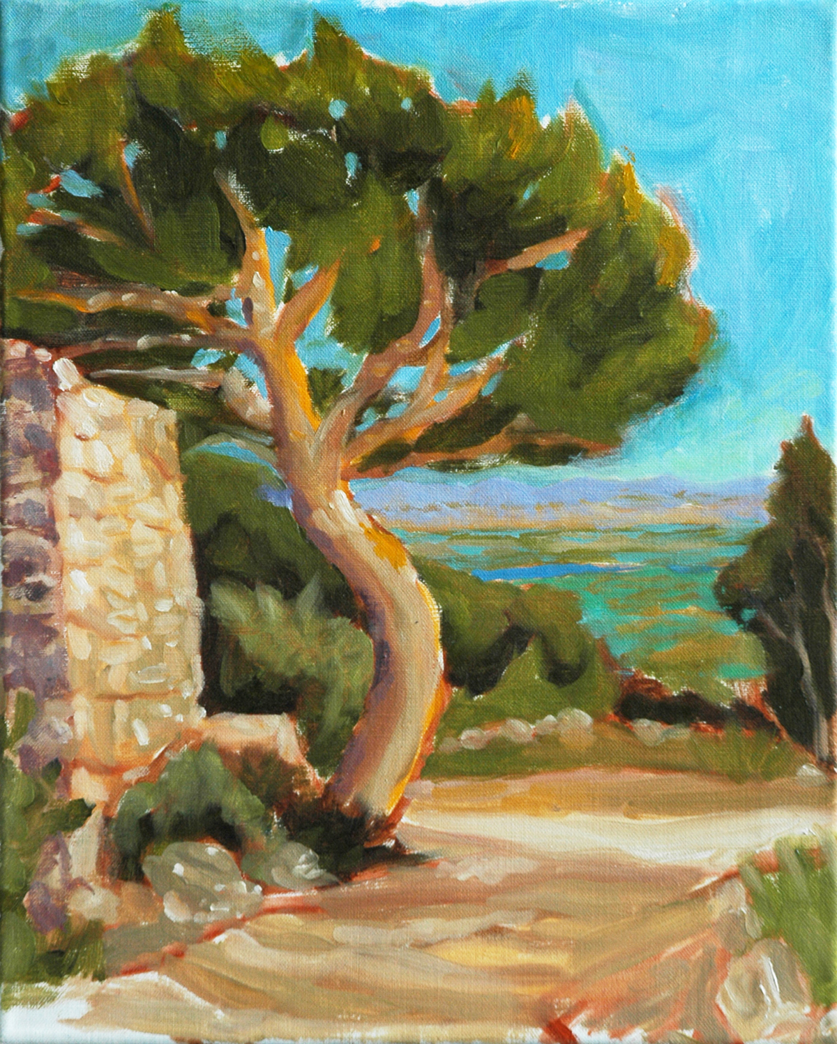 Timothy (Tim) Sali - peinture réaliste - paysages sur le motif